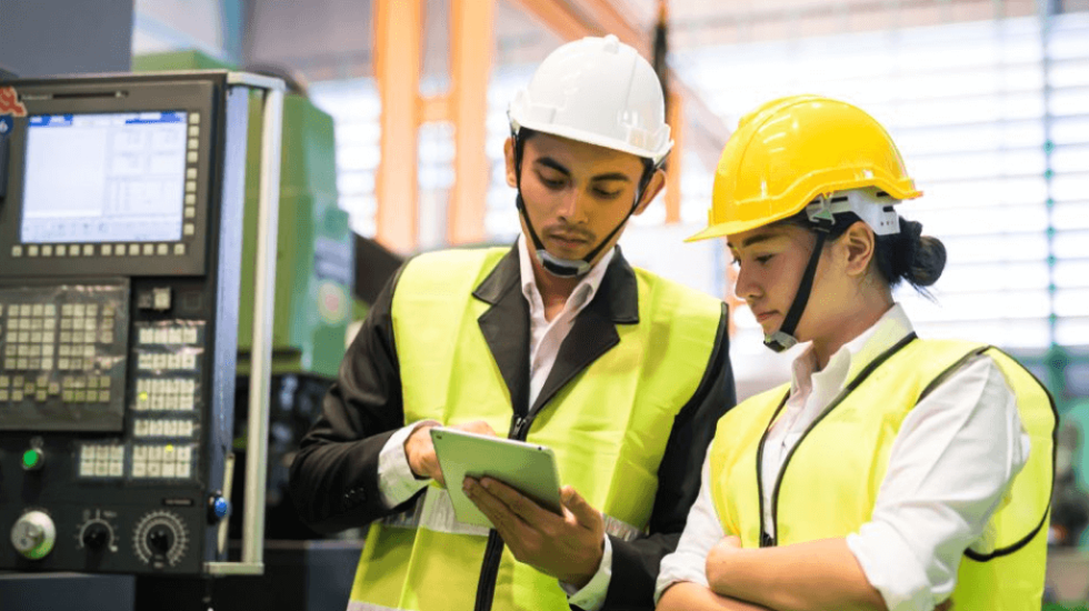 Audit Support - Direwolf Industries Inc.